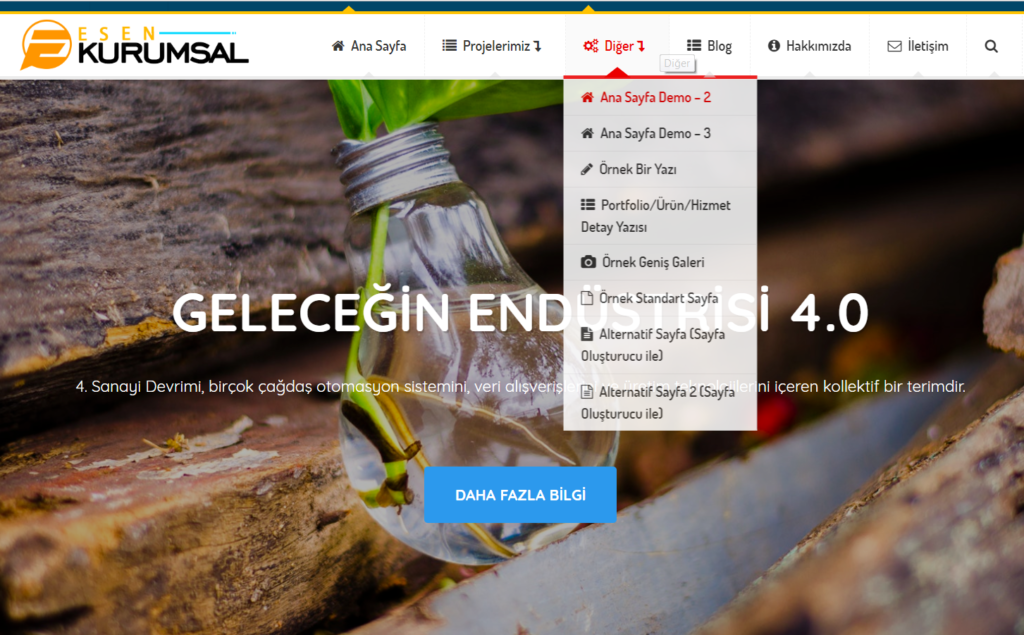 EsenKurumsal WordPress Kurumsal Firma Teması - Cızoğlu Bilişim